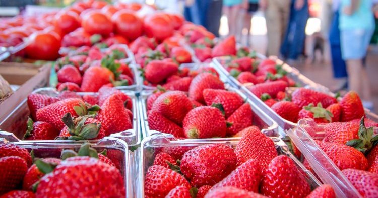 10 Things to LOVE About the Little Rock Farmers’ Market | Little Rock, AR